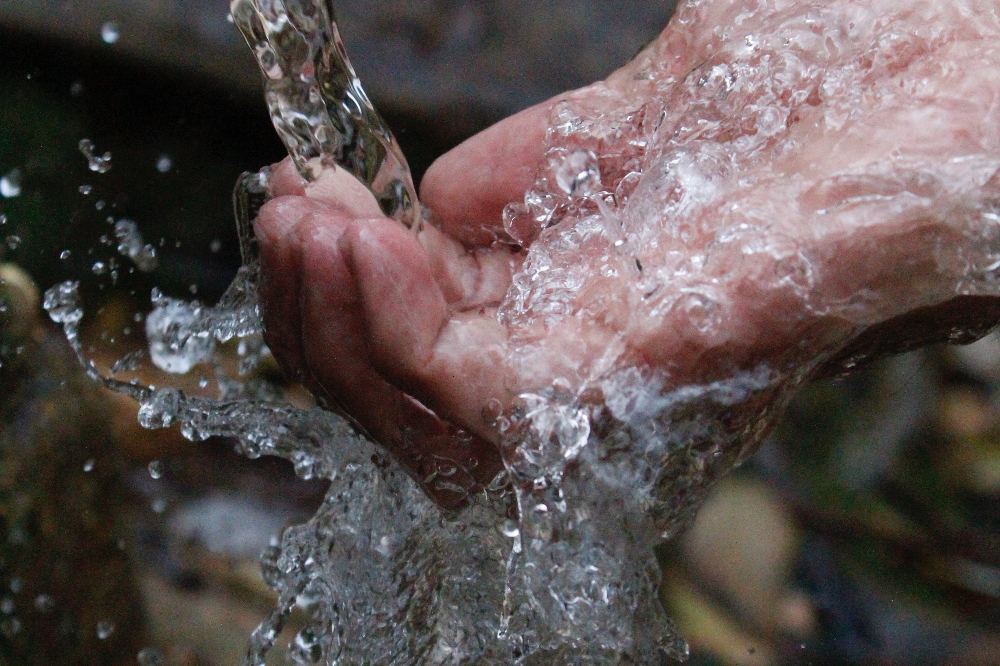 The Healing Power of Salt and Water – Wellness Carolinas